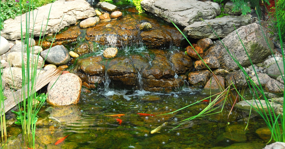 Pond Décor Ideas That Keep Nature in Balance