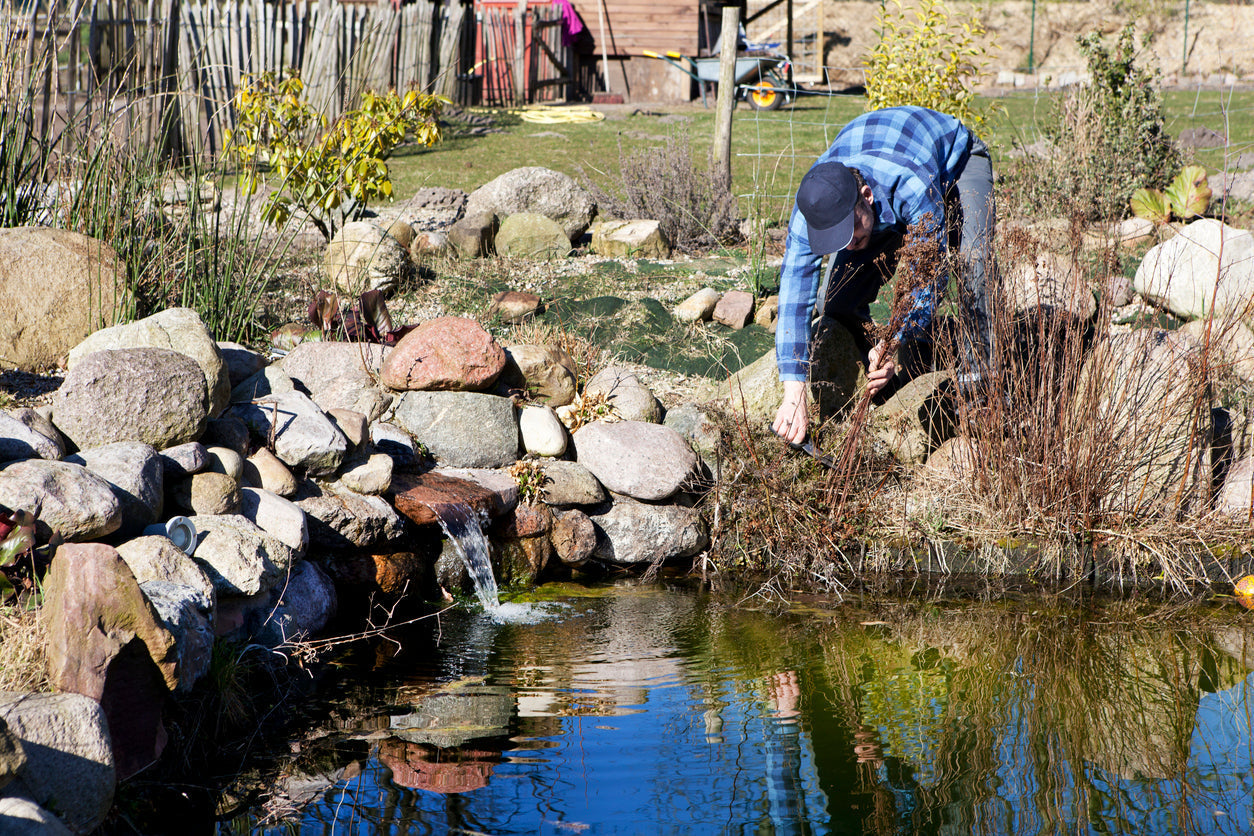 Spring Pond Cleaning Tips So You Know What Happens